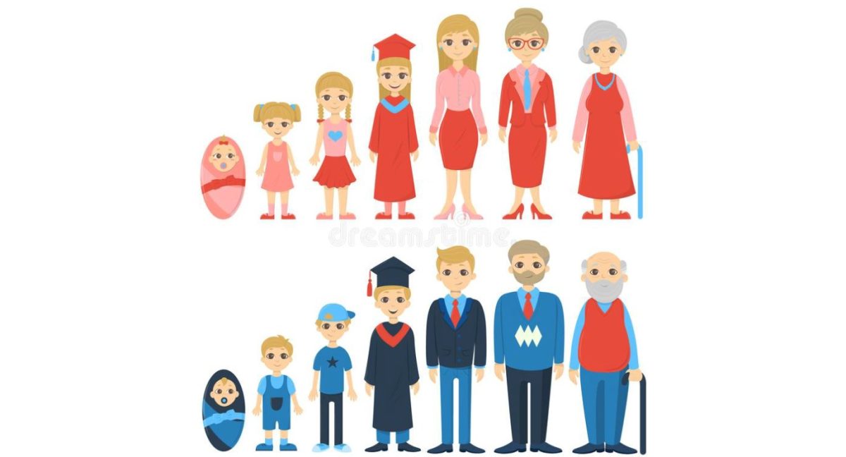 Prevention and Early Intervention in Child Health Services - PEIN